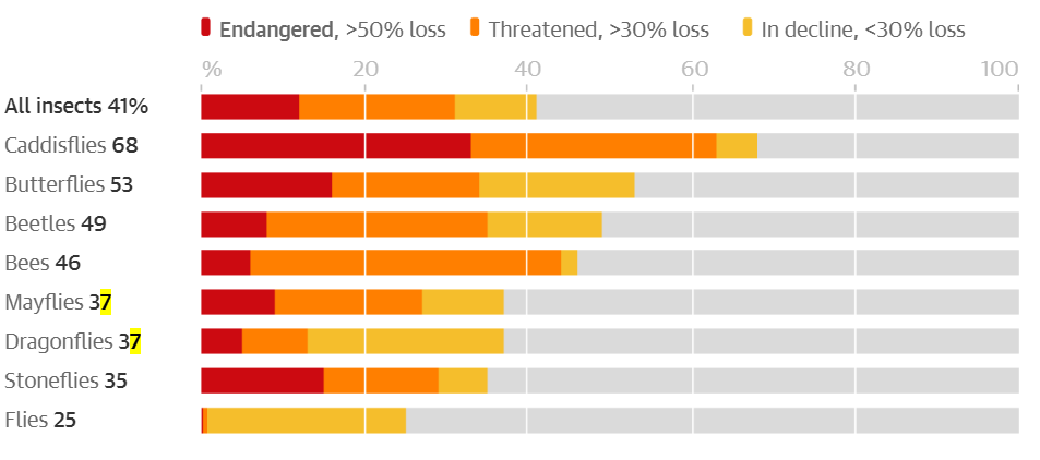 The Catastrophic Decline of Insects & Animals: The Facts, and What You ...